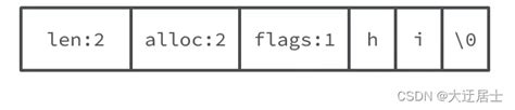 redis 原理篇 动态字符串 csdn博客