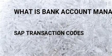 What Is Bank Account Management In Sap Tcode In SAP Transaction Codes List