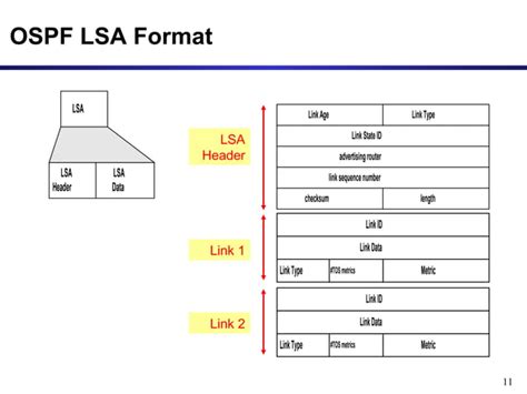 Ospf Routing Protocol Ppt Databases Computer Software And Applications