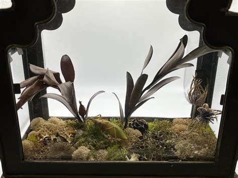 Large Decorative Grasshopper Display Local Pickup Only Out Of Bloom
