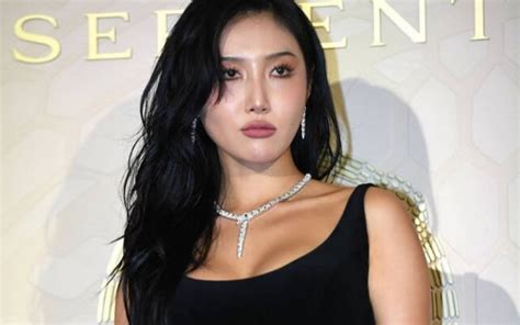 Mamamoo хамтлагийн гишүүн Hwasa үерхээд 5 жил болж буйг зарлалаа