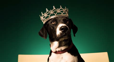 5 Steps To Securing Your Organizations ‘crown Jewels Of Data Tanium