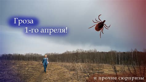 Гроза с градом в апреле под Москвой | Море клещей! | Асператусы ...