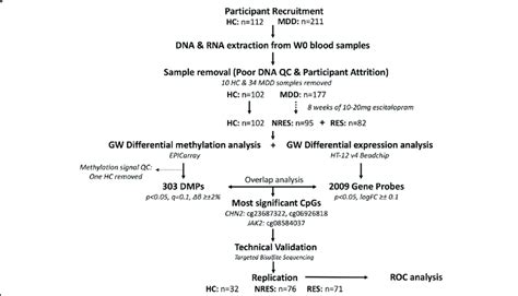 Process Of Research Design Download Scientific Diagram