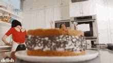 Girl Jumping Out Of Cake S Tenor