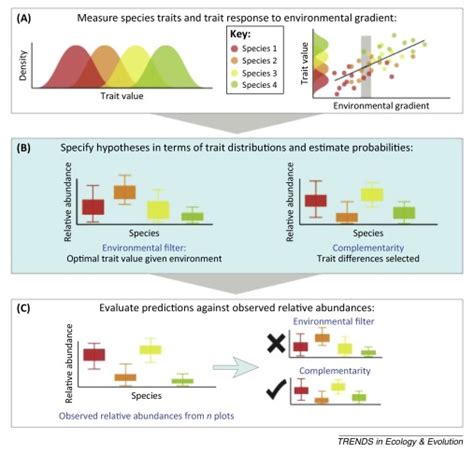 Predicting Communities From Functional Traits Trends In Ecology