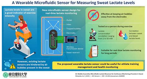 A Biosensor For Long Term And Continuous Monitoring Of Lactate Concentrations From Sweat