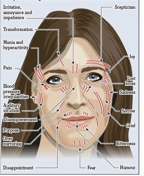 Pin By Heba On Face Reading Face Reading Reading Body Language