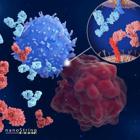 How Ncounter Direct Digital Detection For Hnscc Tumors Nanostring Technologies Inc Posted On