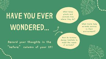 STEMscopes Adaptations Slides Rd Grade By Cozy Corner Classrom