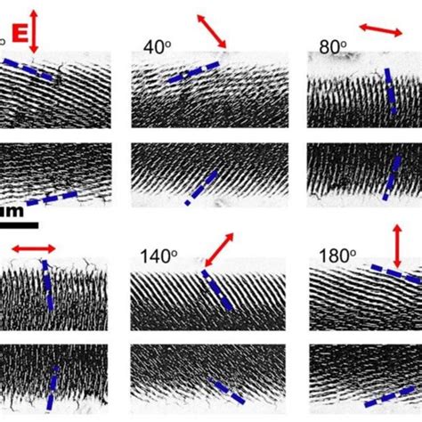slantwise oriented ripple structures on two lateral edge regions top