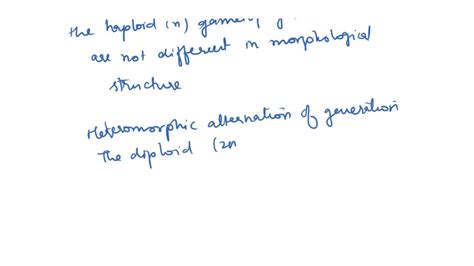 Solved What Is The Difference Between Isomorphic And Heteromorphic