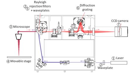 4 Layout Of Renishaw Invia Confocal Raman Microscope The Key