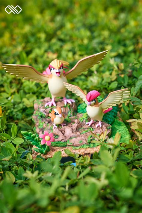 Pidgey And Pidgeot And Pidgeot Evolution Set Pokemon