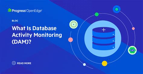 Database Activity Monitoring Dam What It Is And Why To Use It