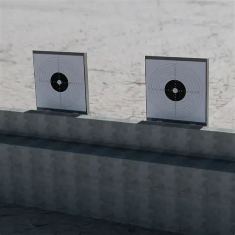 Infantry Targets Tts