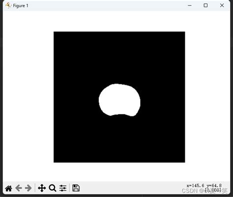 【promise12数据集】promise12数据集介绍和预处理 csdn博客