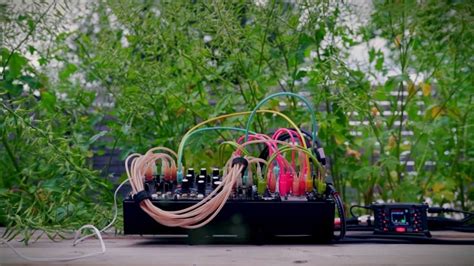 with synthesizers and sensors a musician turns the pulse of the life