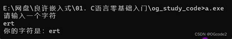 c语言 puts和printf和gets简单使用（面试） put函数 csdn博客