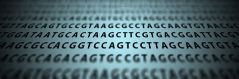 What Are Copy Number Variants Genomics Education Programme