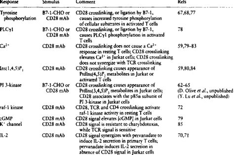 Effects Of Ligating The Cd28 Receptor On Early Signal Transduction Events Download Table