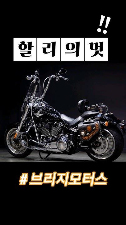 할리데이비슨 팻보이 114 할리중독자 시청금지 할리는 이 맛인데알면 못 끊지 18인치 깔리니 만세핸들 오토바이 바이크 Youtube