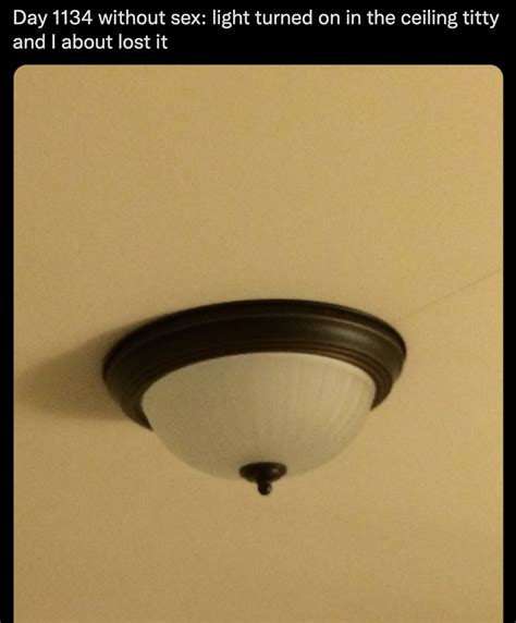 Day 1134 Without Sex Ceiling Titty Know Your Meme