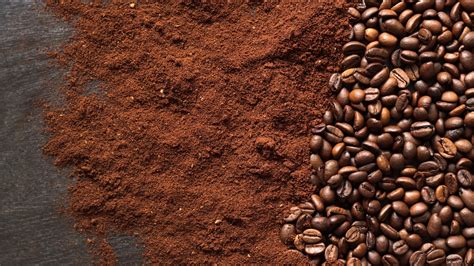 Coffee Powder How To Choose The Best Coffee Powder Kimecopak