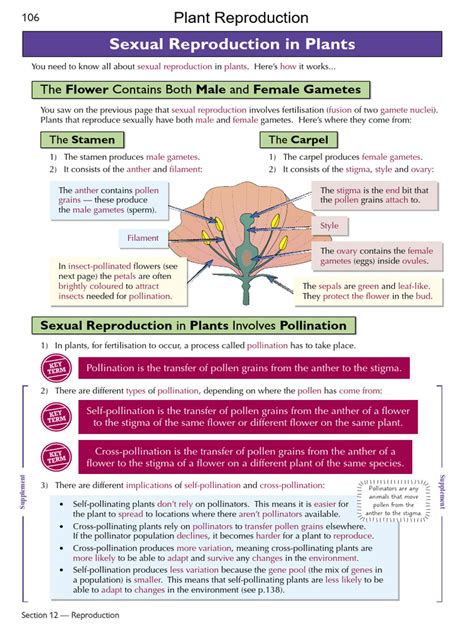 Cgp Plant Reproduction Pdf Flowers Pollination