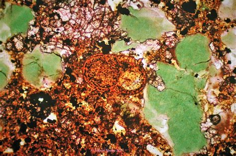Glauconite Sand Photomicrographs Integrated Exploration Services Inc