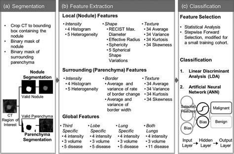 Flowchart Of The Computer Aided Diagnosis Cad Tool A Segmentation