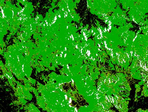 Single Date Sar Forest Classification Results For 2008 Left