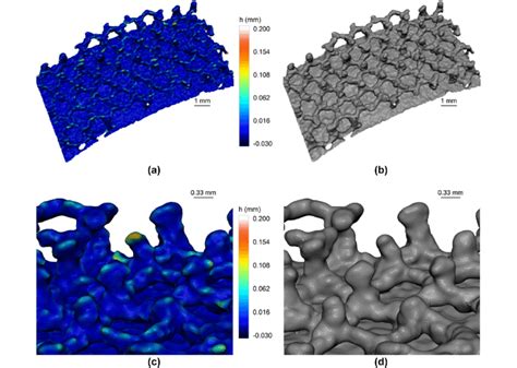 Extracted Mesh And Reference Surface The Colour Represents The Download Scientific Diagram