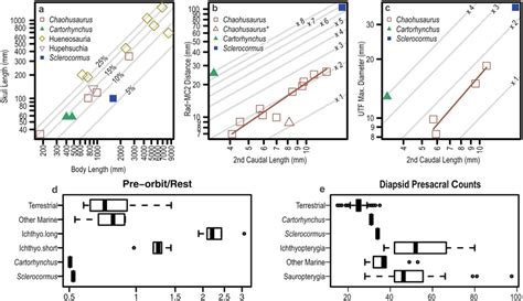 Quantitative Comparisons Of Selected Features A Skull Proportions