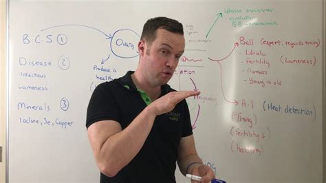 Reproduction Youtube Reproduction Youtube