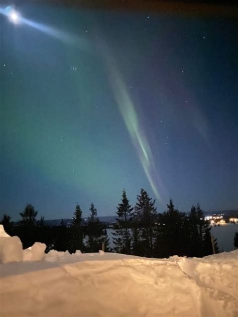 Elena Celledoni On Linkedin 25 Years Of Magic Manifolds And Geometric Integration Colloquia