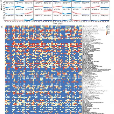 Functional Clustering Of Genetic Effect Curves For The Phenotypic