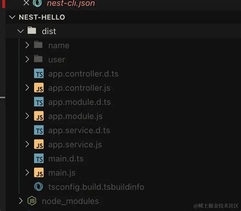 Nest 最佳实践：nest Cli 实用指南本篇文章介绍了 Nest Cli 从安装到使用，主要介绍了 Nest Cl 掘金