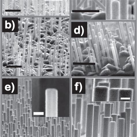 Sem Images Of Sample Sa A Sb B Sc C Sd D Se E And Sf Download Scientific Diagram