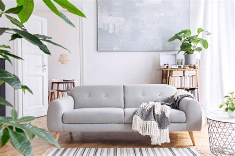 우아한 담요 커피 테이블 식물과 책받침 디자인 소파와 거실의 세련된 Scandianvian 장식 갈색 나무 마루입니다 좋은 아파트에서 미니멀 한 인테리어의 개념 거실에 대한