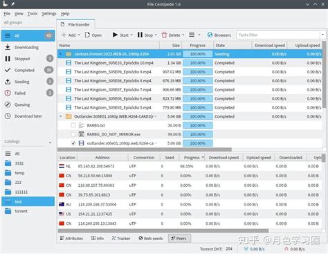 除了迅雷，有什么软件能集成FTP、ED2k、磁力、BT，P2P下载的？ - 知乎