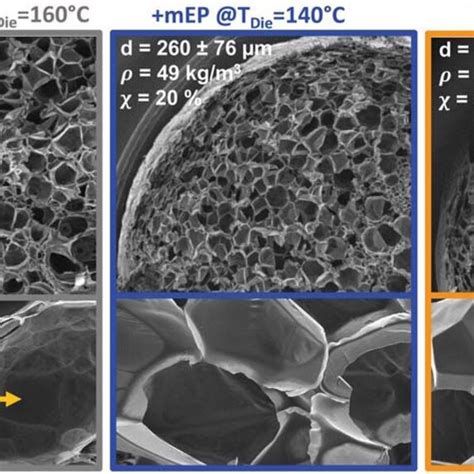 Results Of The Compression Tests Of The Extrusion Foams Download