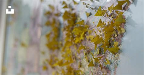 종이 스트립이 있는 구멍이 뚫린 핀이 있는 파란색 및 여러 가지 빛깔의 지도 사진 Unsplash의 무료 록 퍼 드 이미지