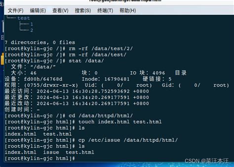 银河麒麟操作系统终端命令行下文件与目录的管理 麒麟系统删除文件夹命令 csdn博客