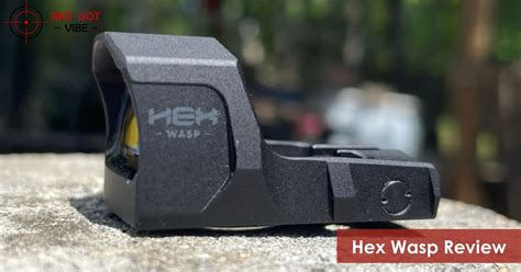 Hex Wasp Review Small Size Big Performance