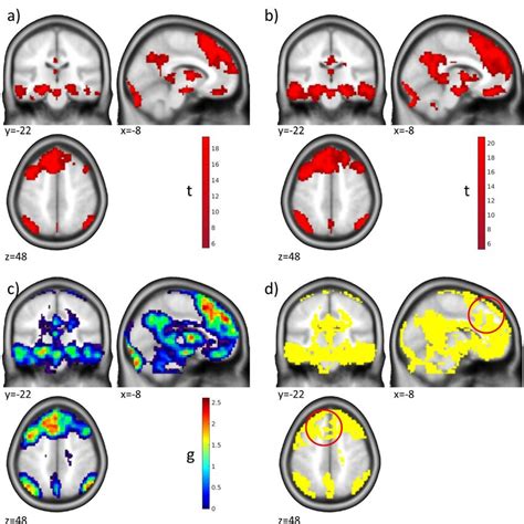 replication of effects results from the encoding phase of an episodic