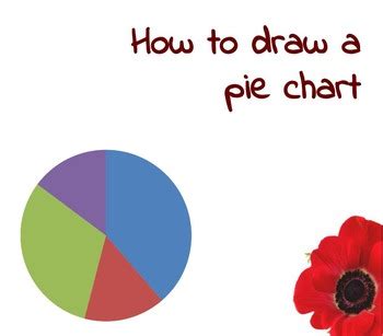 Data Handling Drawing Pie Charts By Butterflyclassrooms TpT