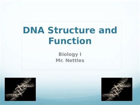 PPT Dna Structure And Function Notes DOKUMEN TIPS