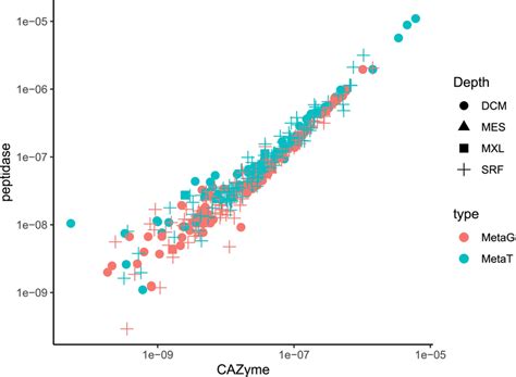 Correlation Between Fungal Proteases Genes And Transcripts From This