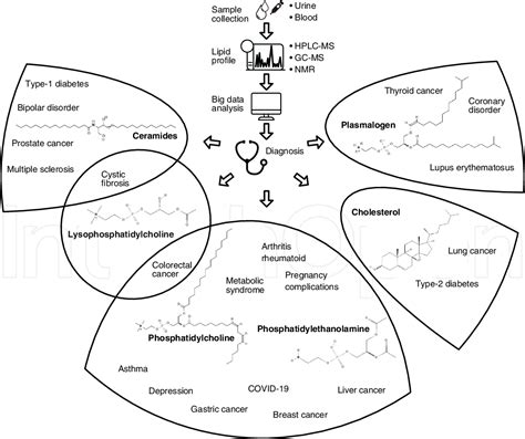 Table 1 From Lipidomics As A Tool In The Diagnosis And Clinical Therapy Semantic Scholar